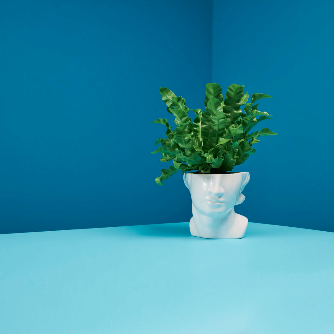 Posturinn - Pósturinn